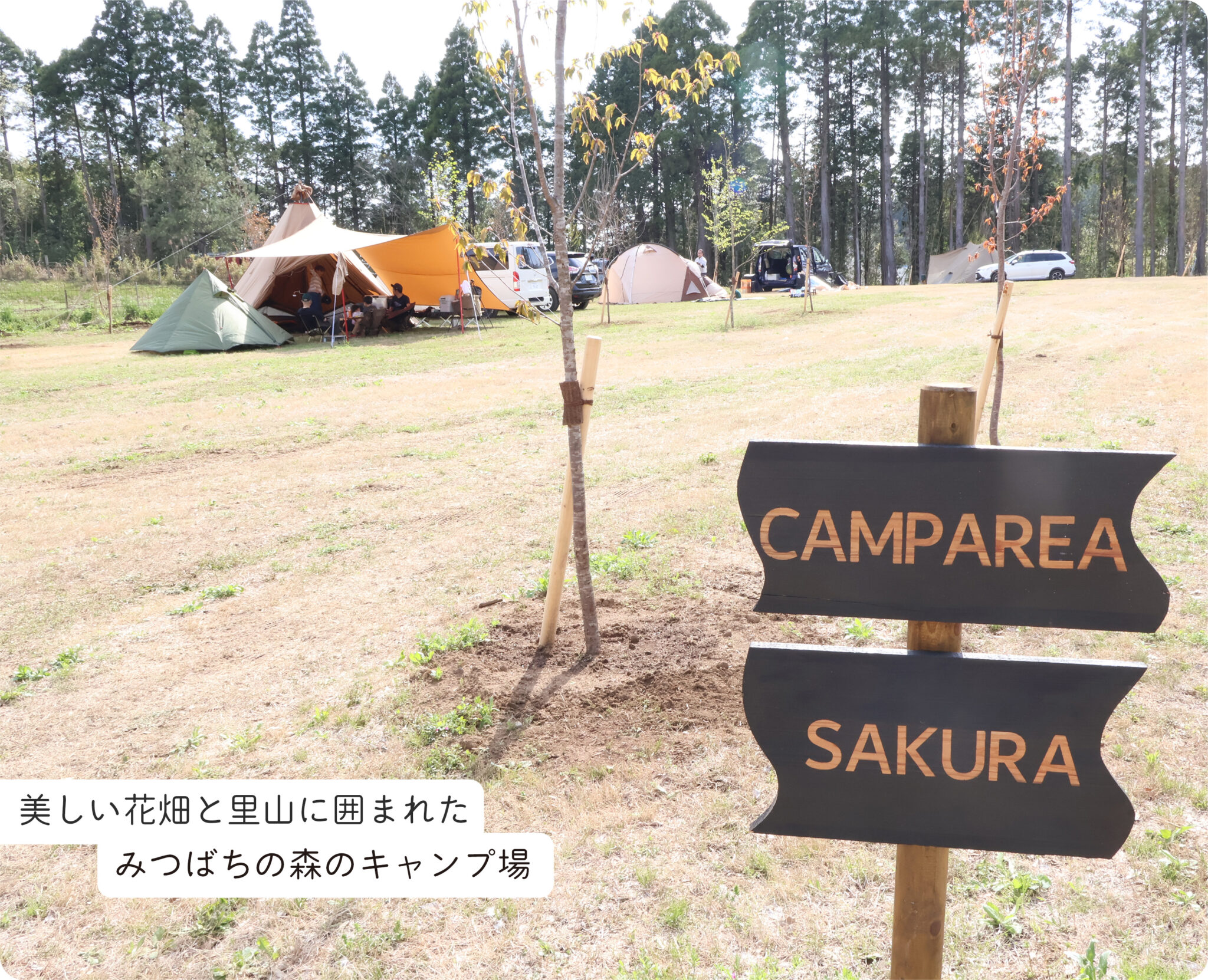Bee Camp Field Website | 市原みつばち牧場